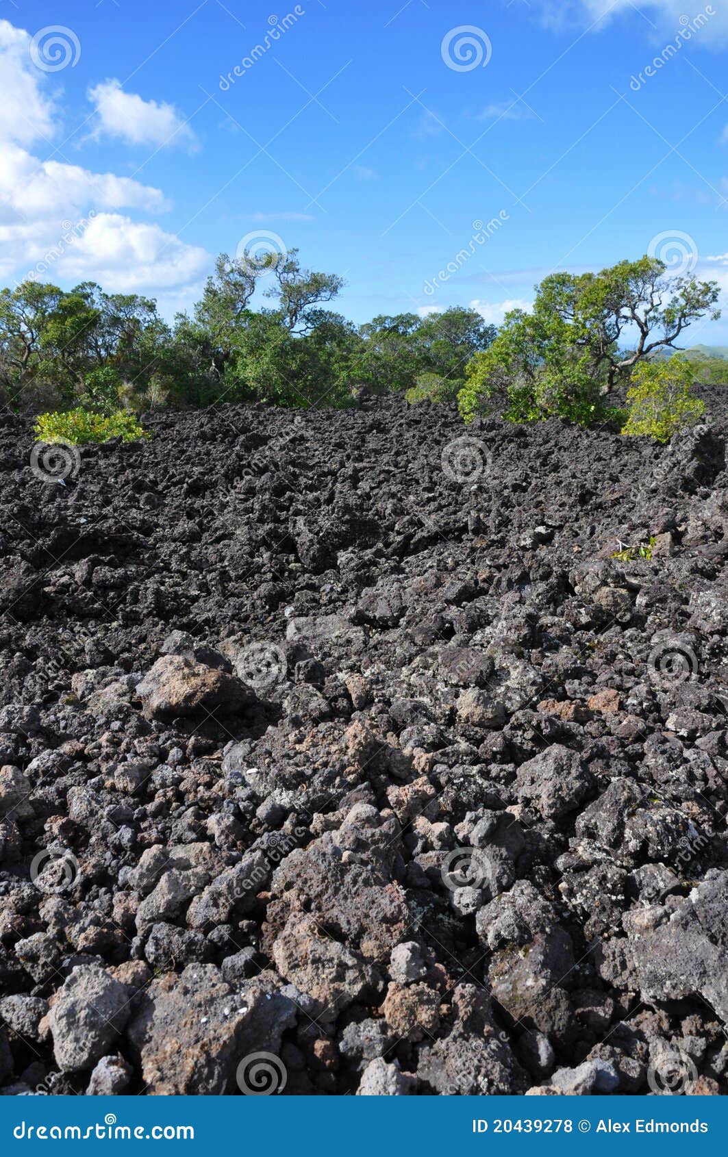 Lava Field stock photo. Image of field, edmonds, island - 20439278