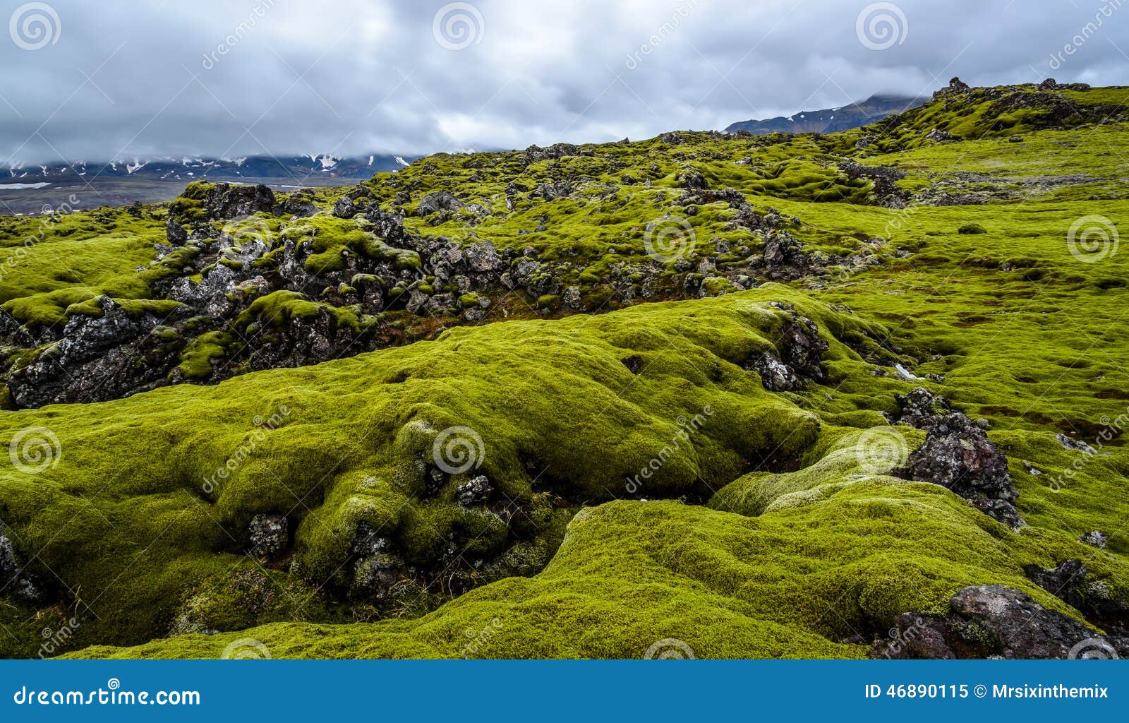 Lava Field with Green Moss in Iceland Stock Image - Image of activity ...