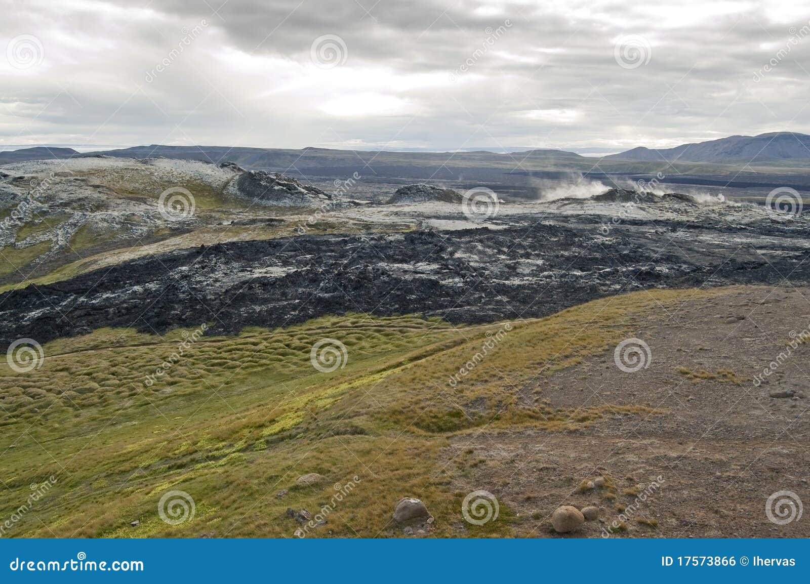 Lava field in Iceland stock photo. Image of grassland - 17573866