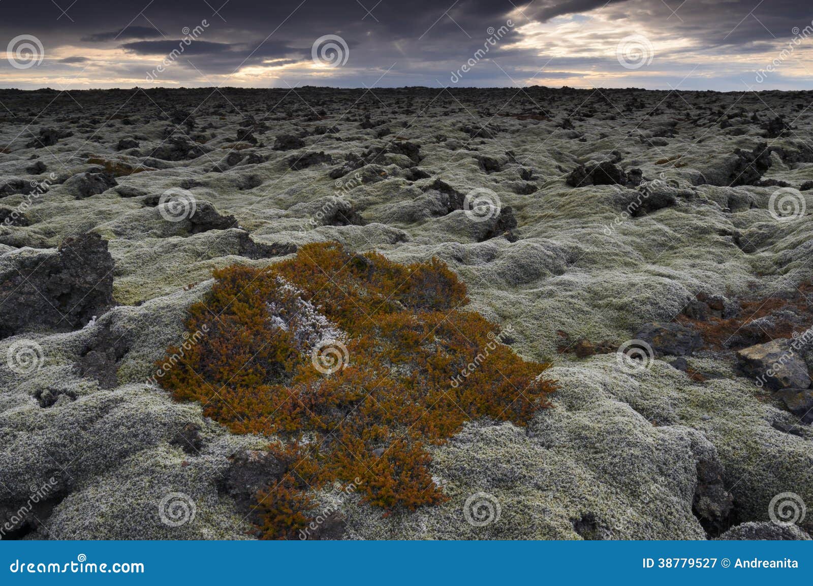 Lava field stock image. Image of lava, crevasse, global - 38779527