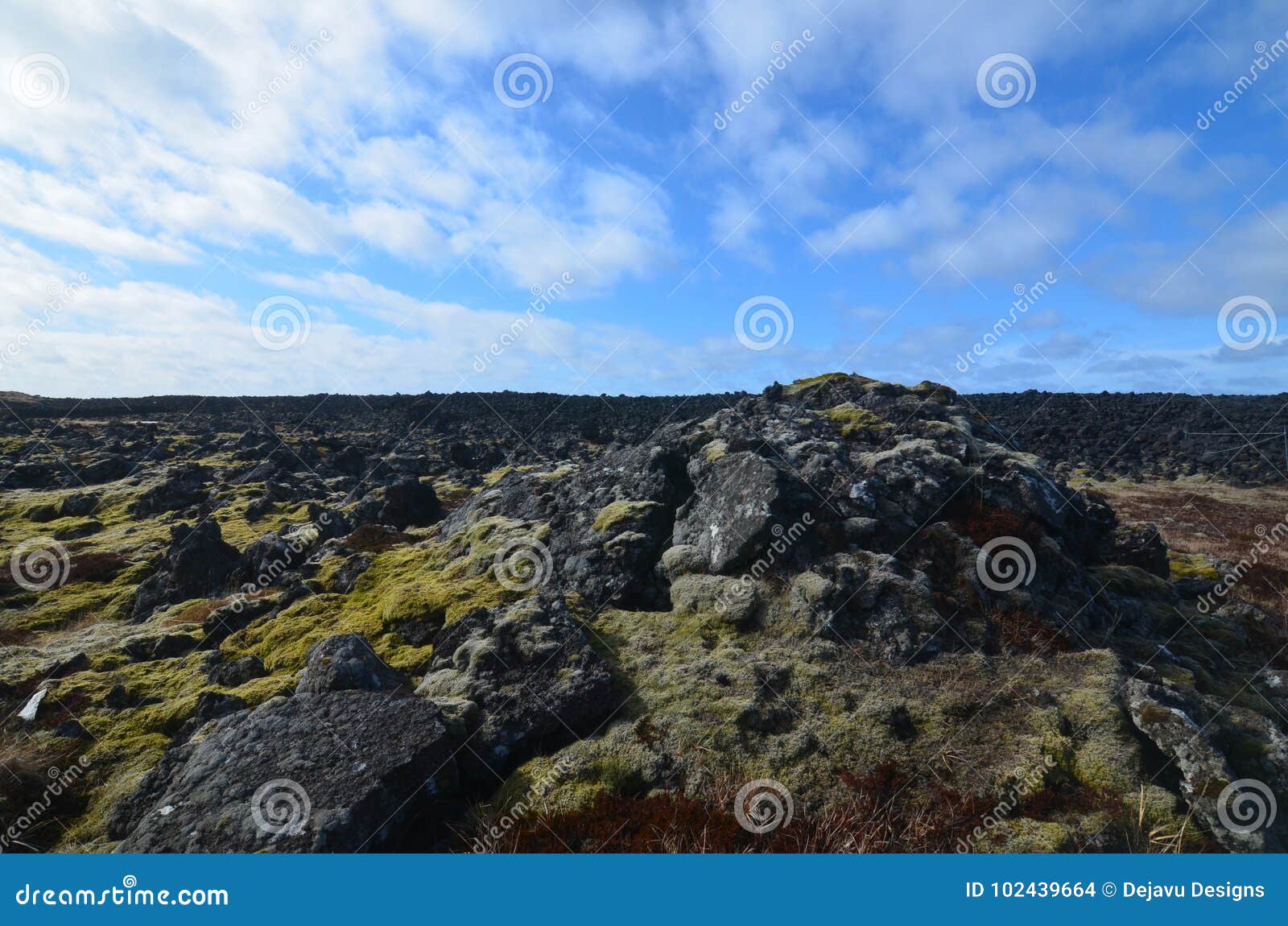 Lava Field with Volcanic Rock in Iceland Stock Photo - Image of rocky ...