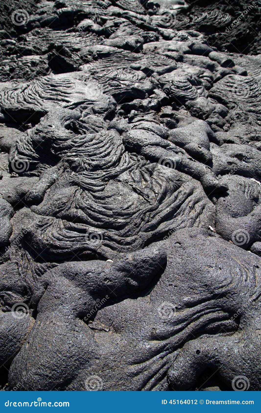 Lava Formations - Galapagos Stock Photo - Image of island, ribbons ...