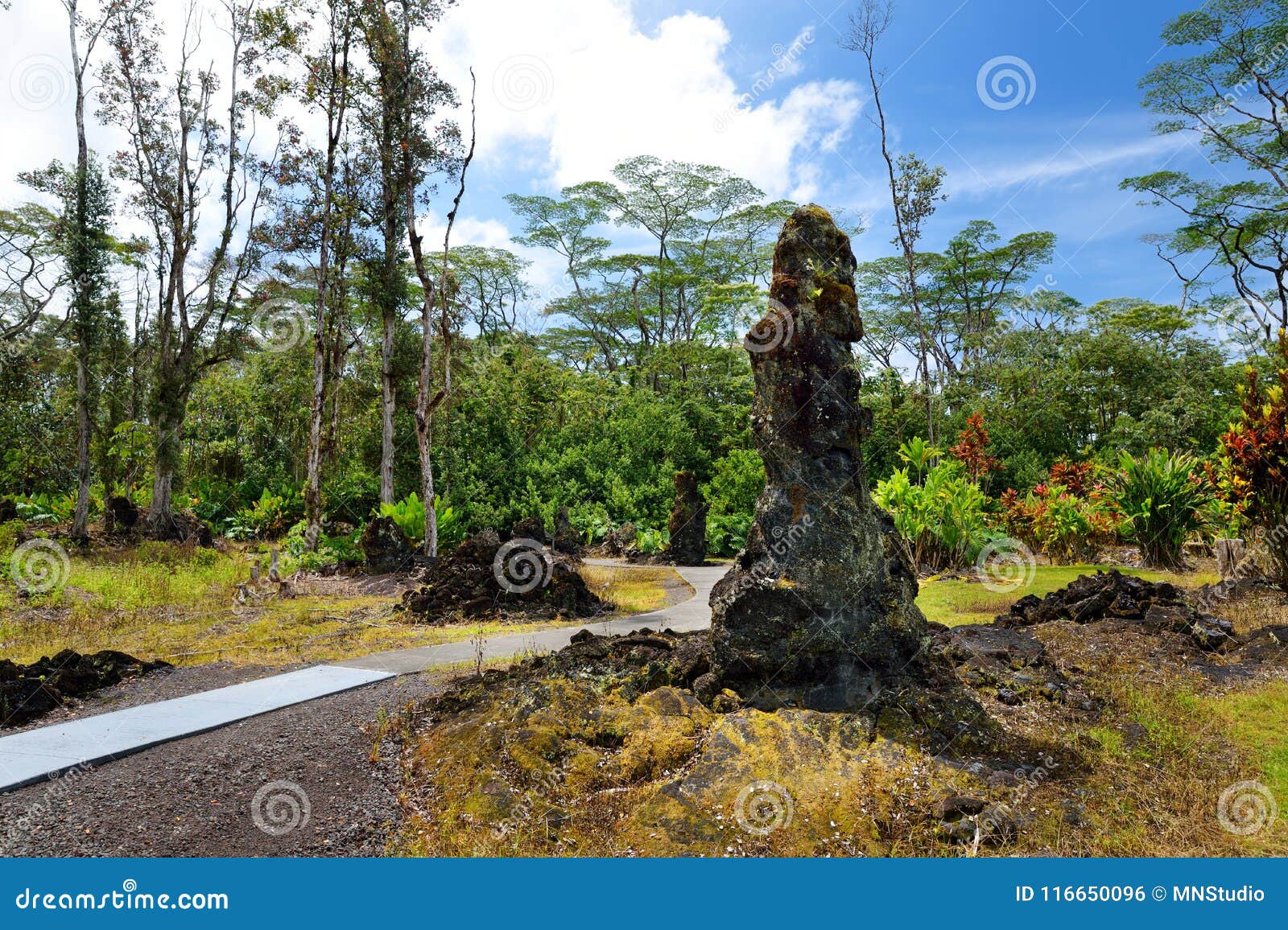 Lava Molds of the Tree Trunks that Were Formed when a Lava Flow Swept ...