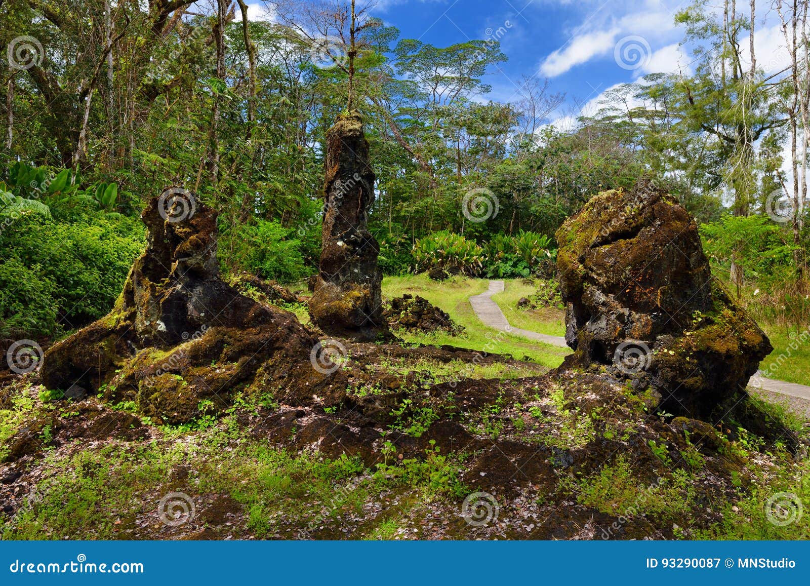 Lava Molds of the Tree Trunks that Were Formed when a Lava Flow Swept ...