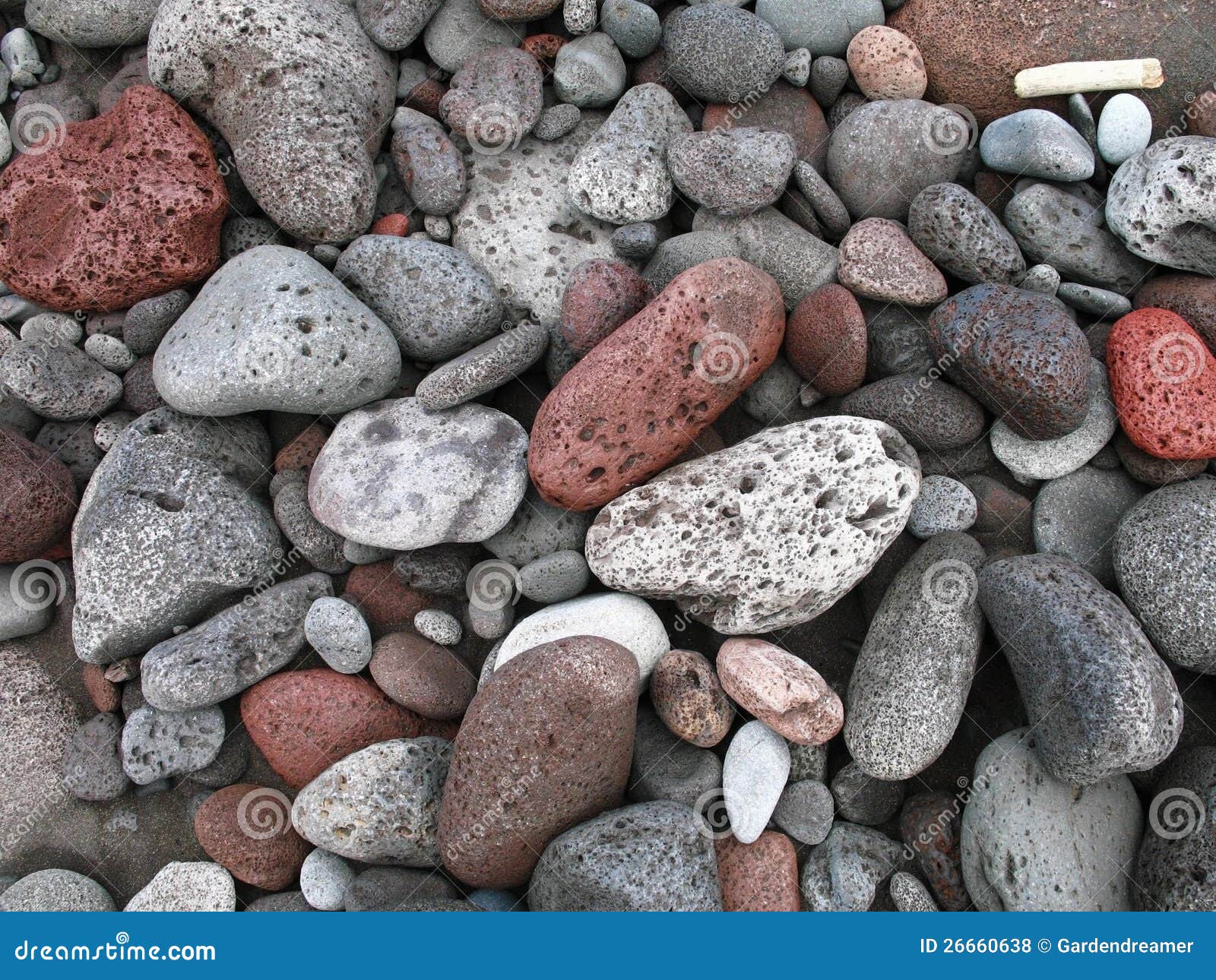 Lava pebbles stock photo. Image of rock, pebble, nature - 26660638