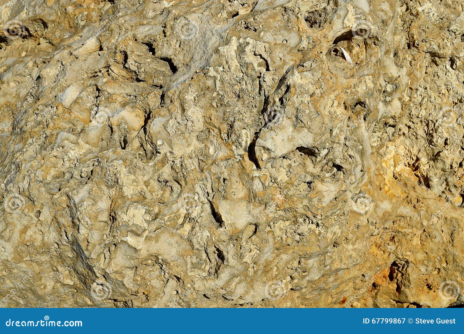 Lava Rock Background stock image. Image of large, grey - 67799867