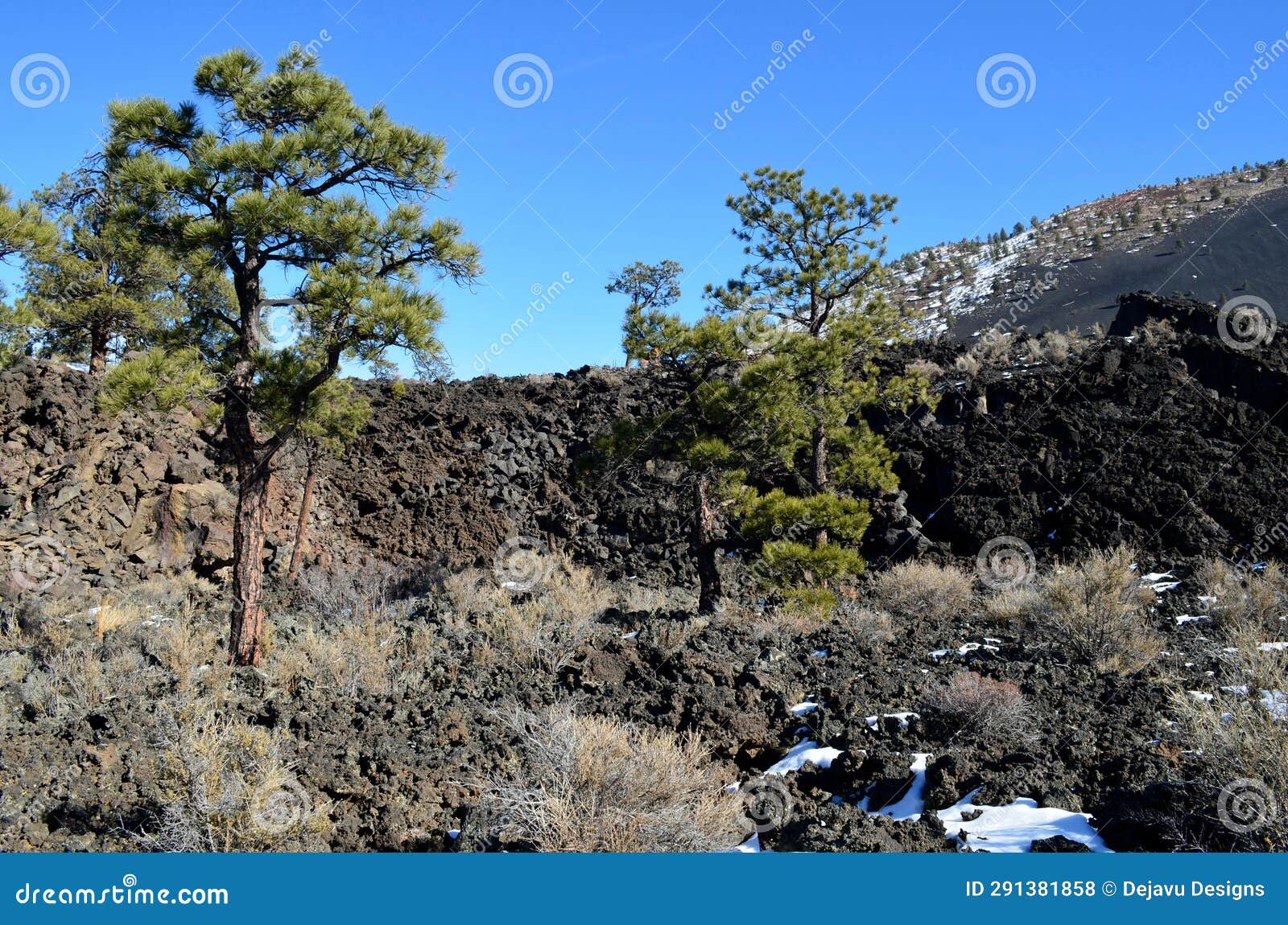 Lava Rock Crater with Trees Growing from it Stock Photo - Image of ...