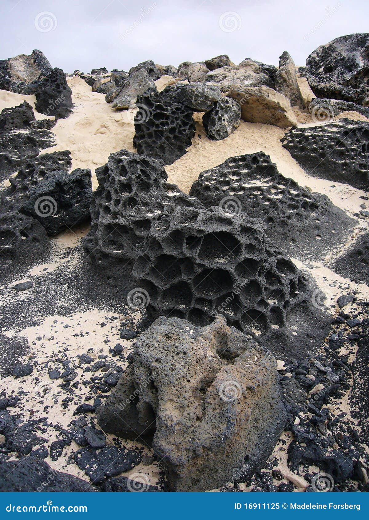 Lava Rocks stock image. Image of stone, amazing, black - 16911125