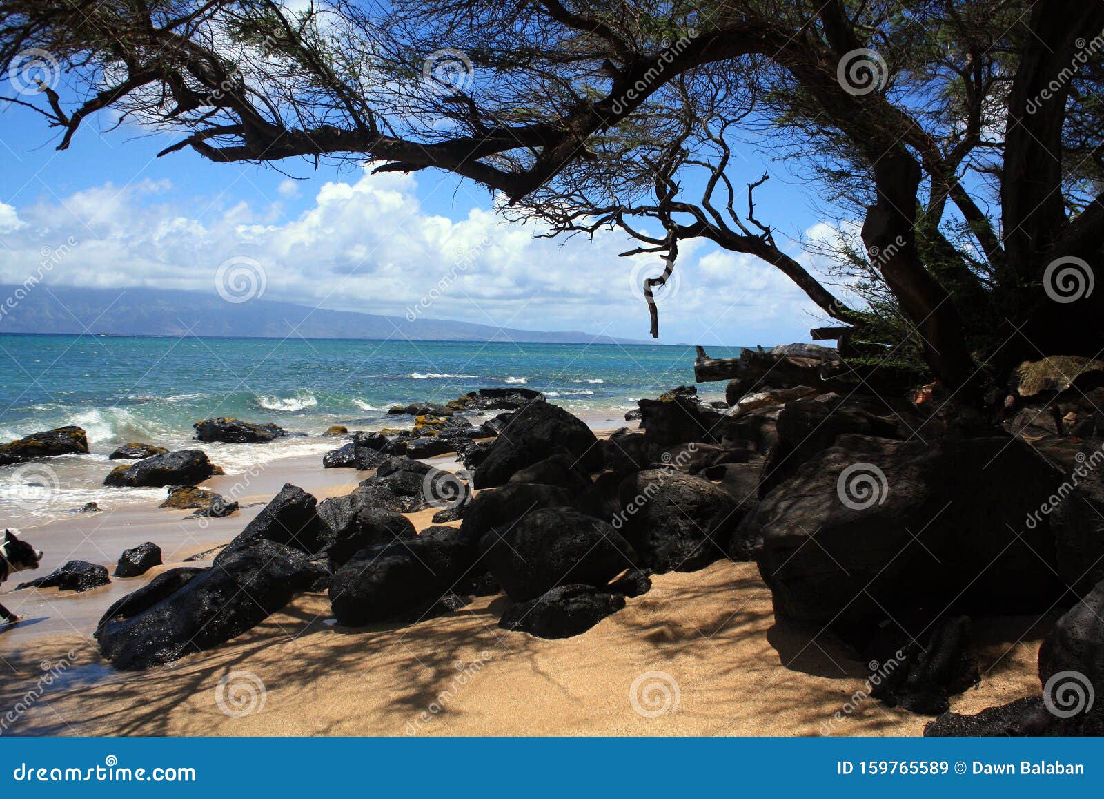 Lave Rocks Trees Mountains Inside a Ocean in Hawaii Stock Image - Image ...
