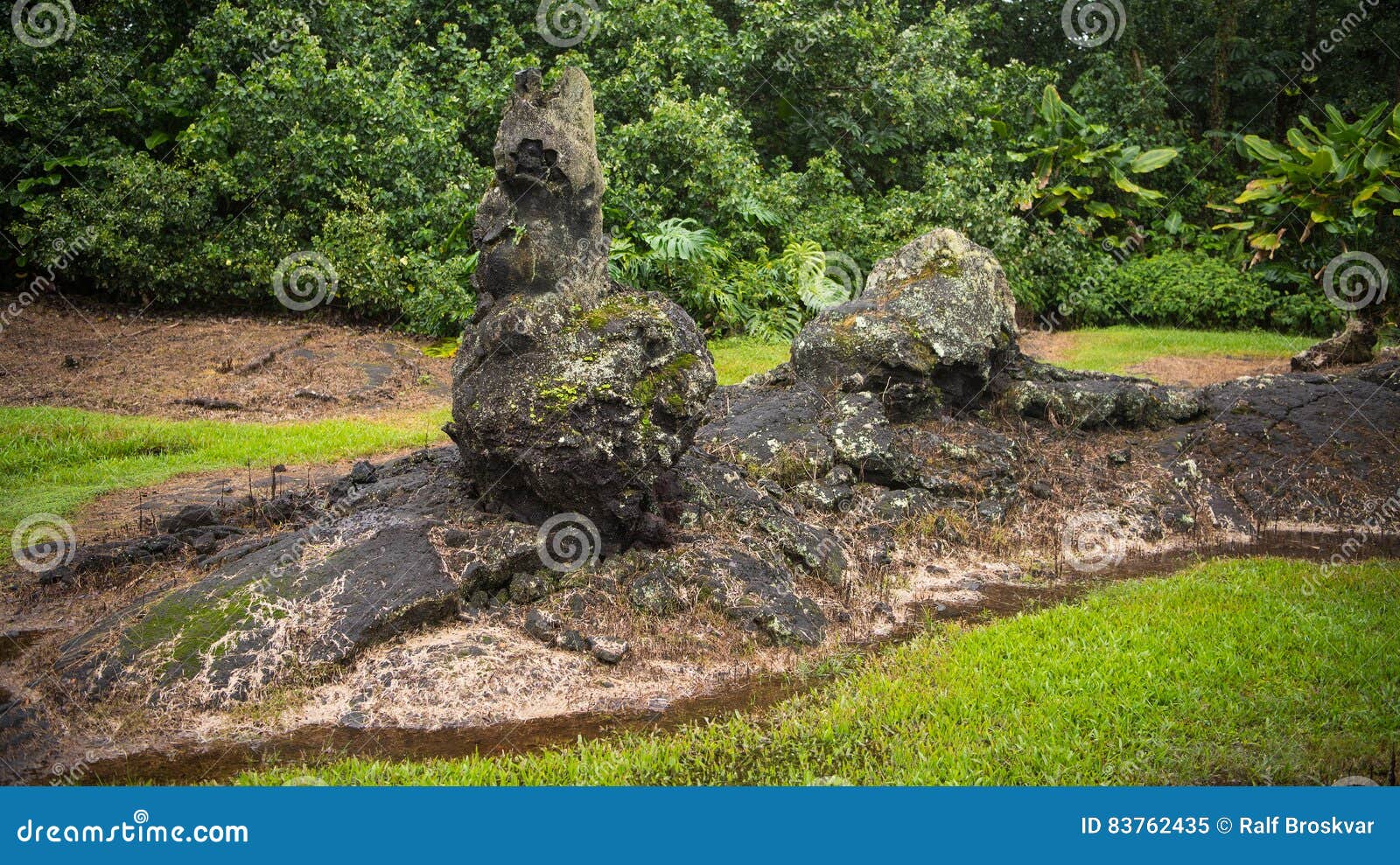 Lava Tree State Monument stock image. Image of forest - 83762435
