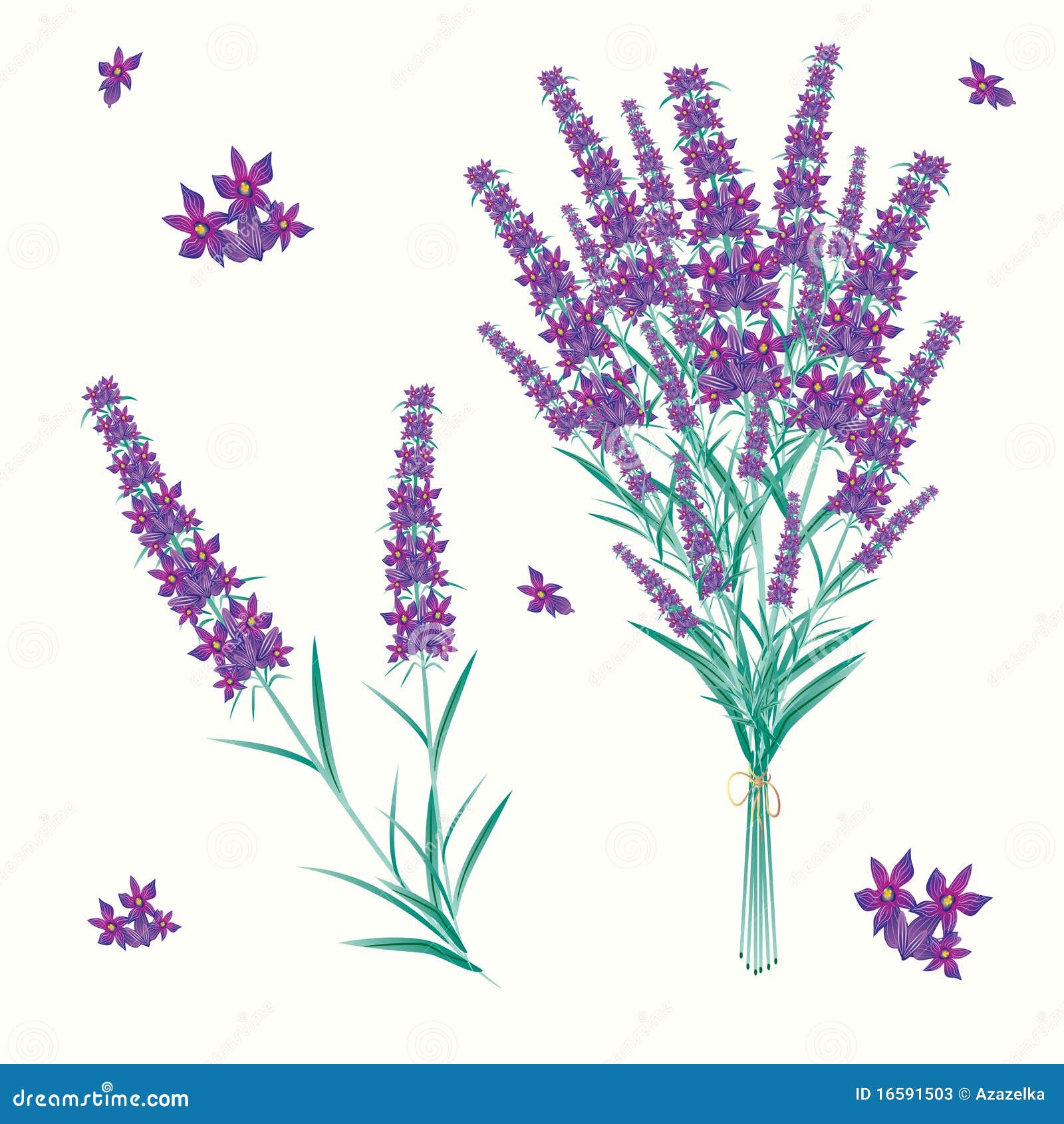 Lavanda ilustración del vector. Ilustración de travieso - 16591503