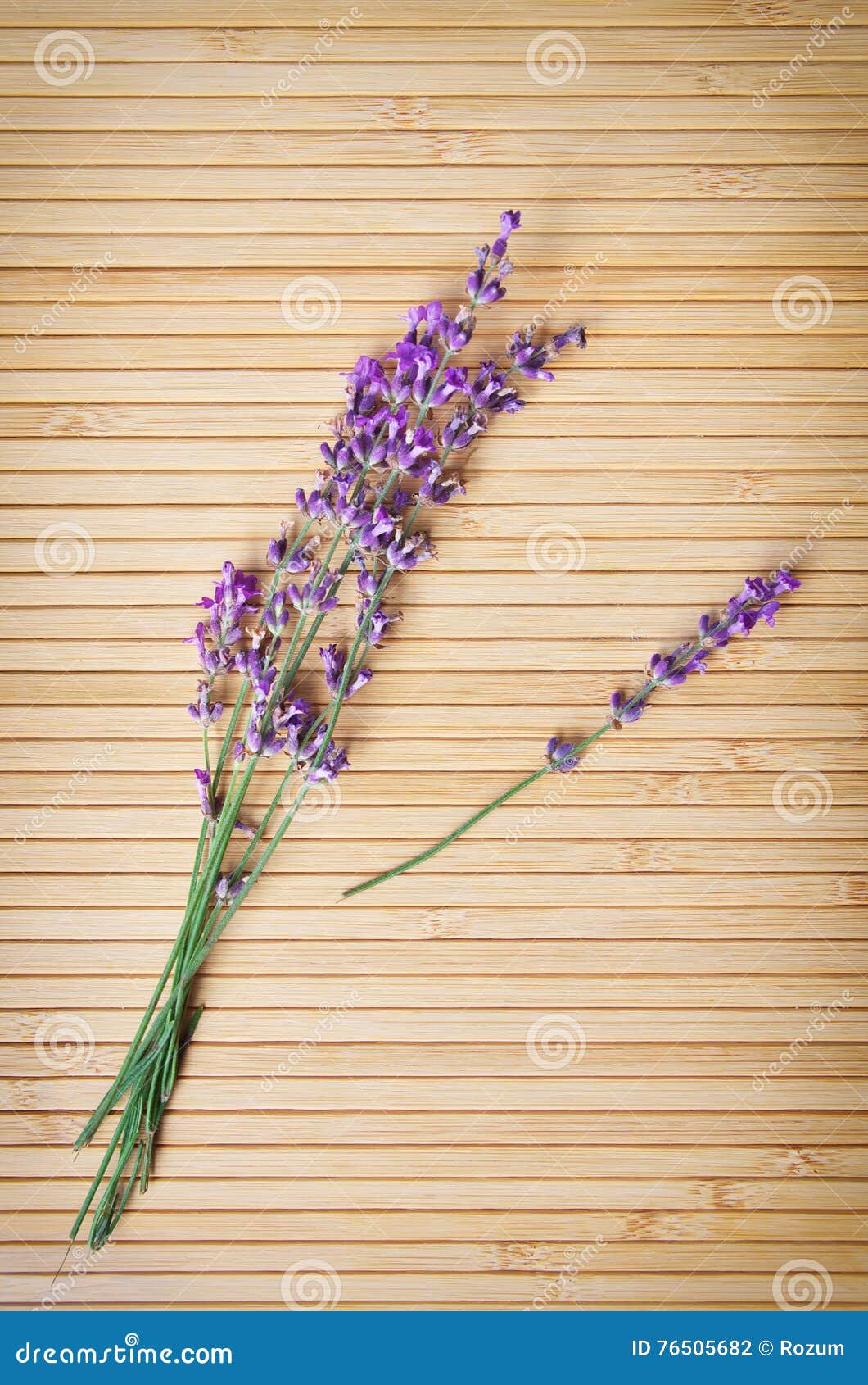 Lavanda En Textura De Madera Foto de archivo - Imagen de hierba, verde ...