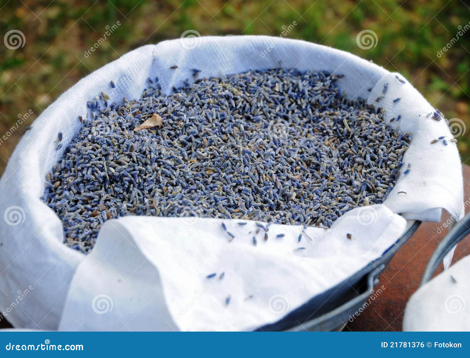 Lavanda seca foto de archivo. Imagen de francia, provenir - 21781376