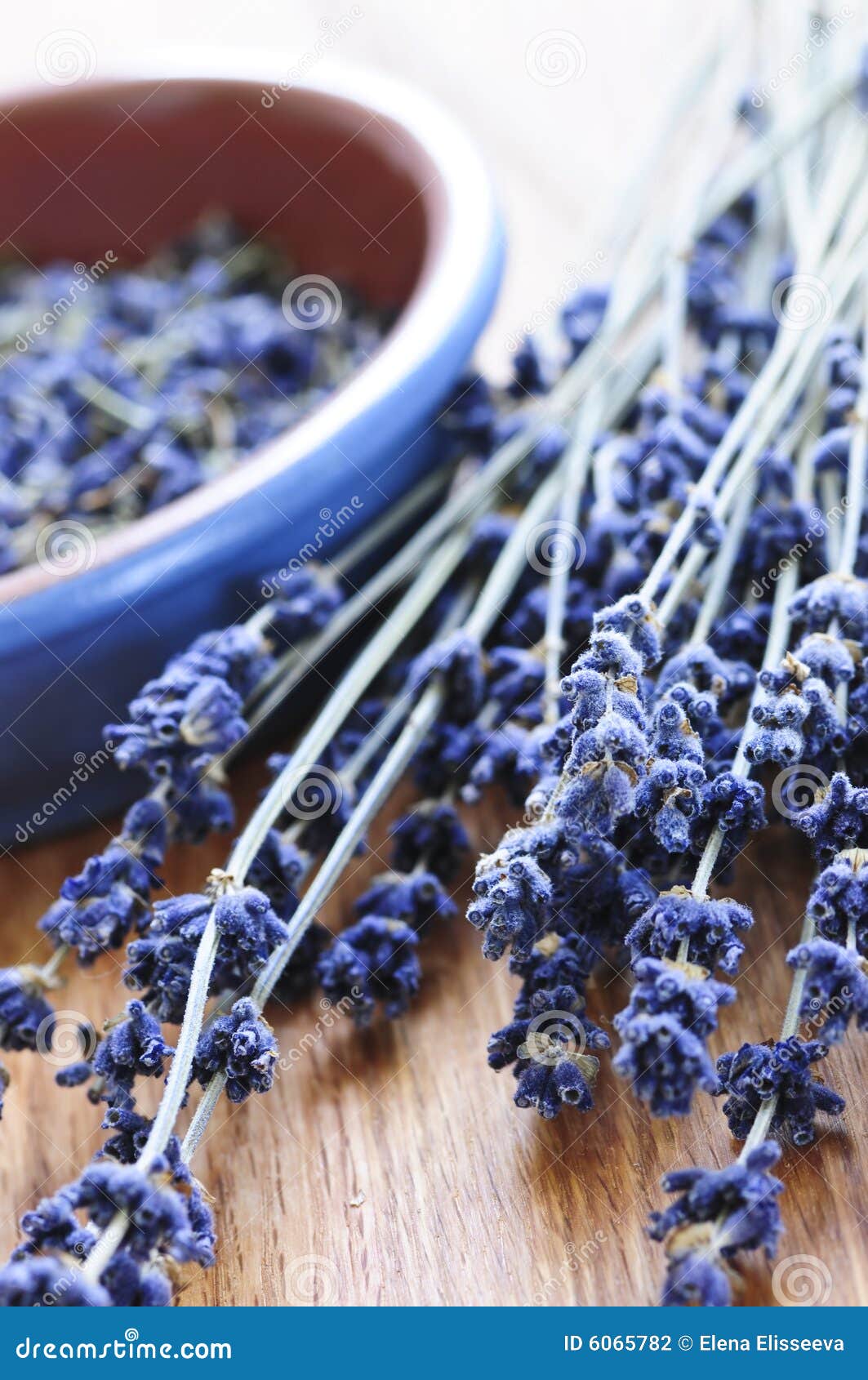 Lavanda secada foto de archivo. Imagen de plantas, olor - 6065782