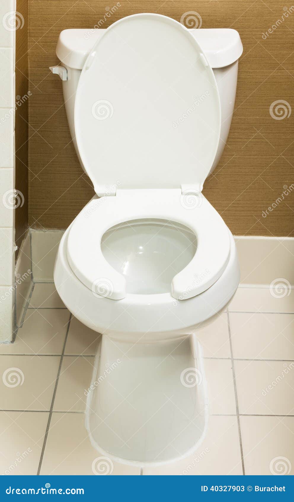 Lavatory stock image. Image of toilet, isolated, lavatory - 40327903
