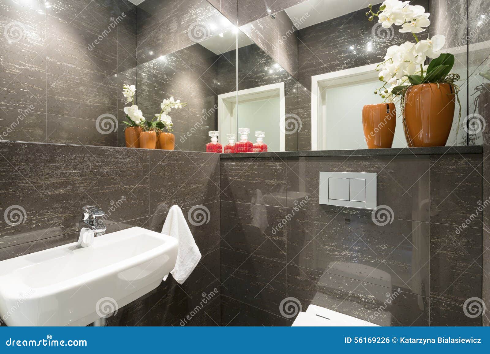 Lavatory in modern house stock photo. Image of contemporary - 56169226
