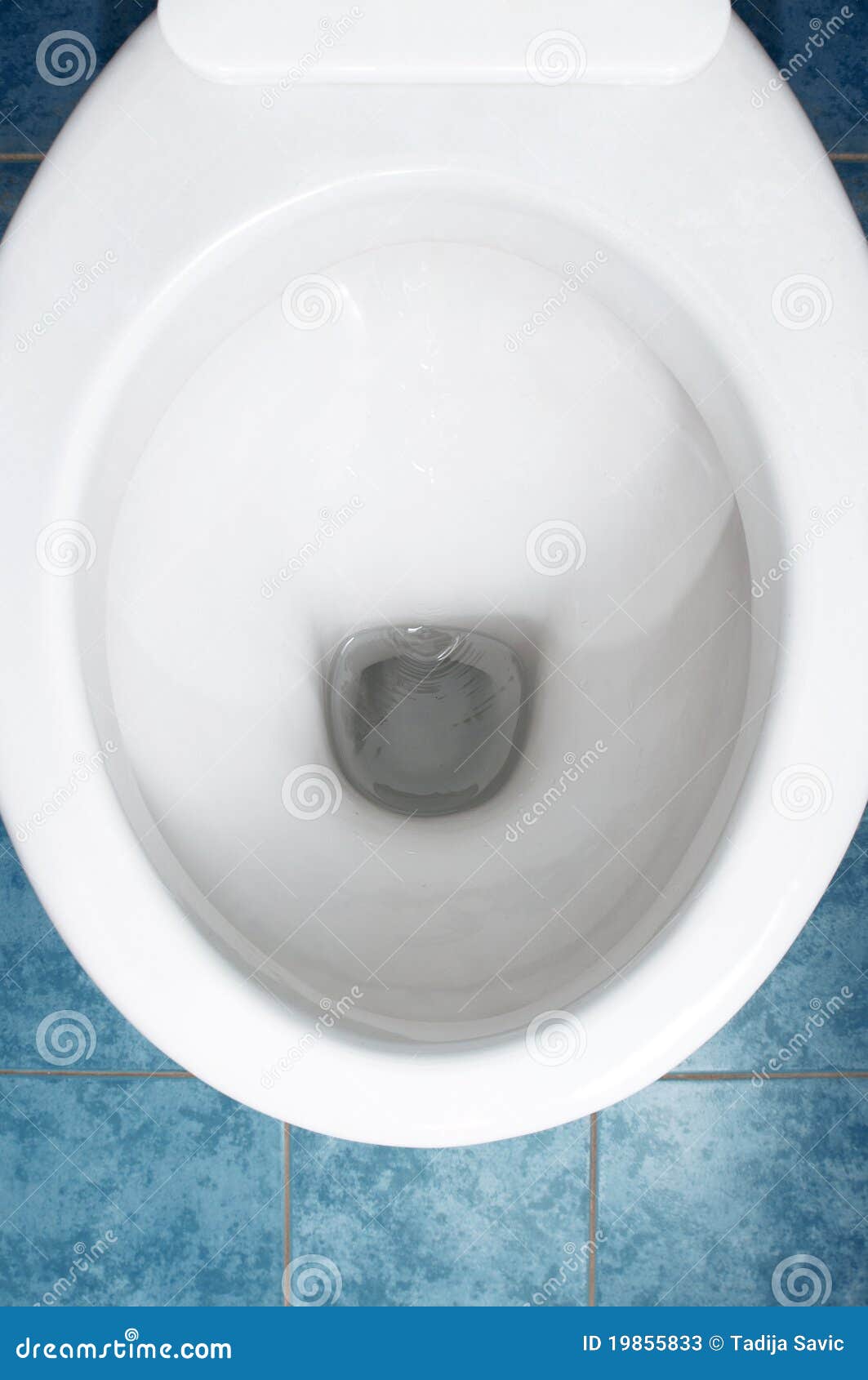 Lavatory pan stock image. Image of toilet, ceramics, white - 19855833
