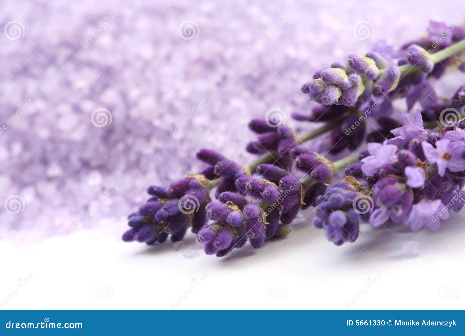 Lavender bath salt stock photo. Image of flowers, smell - 5661330