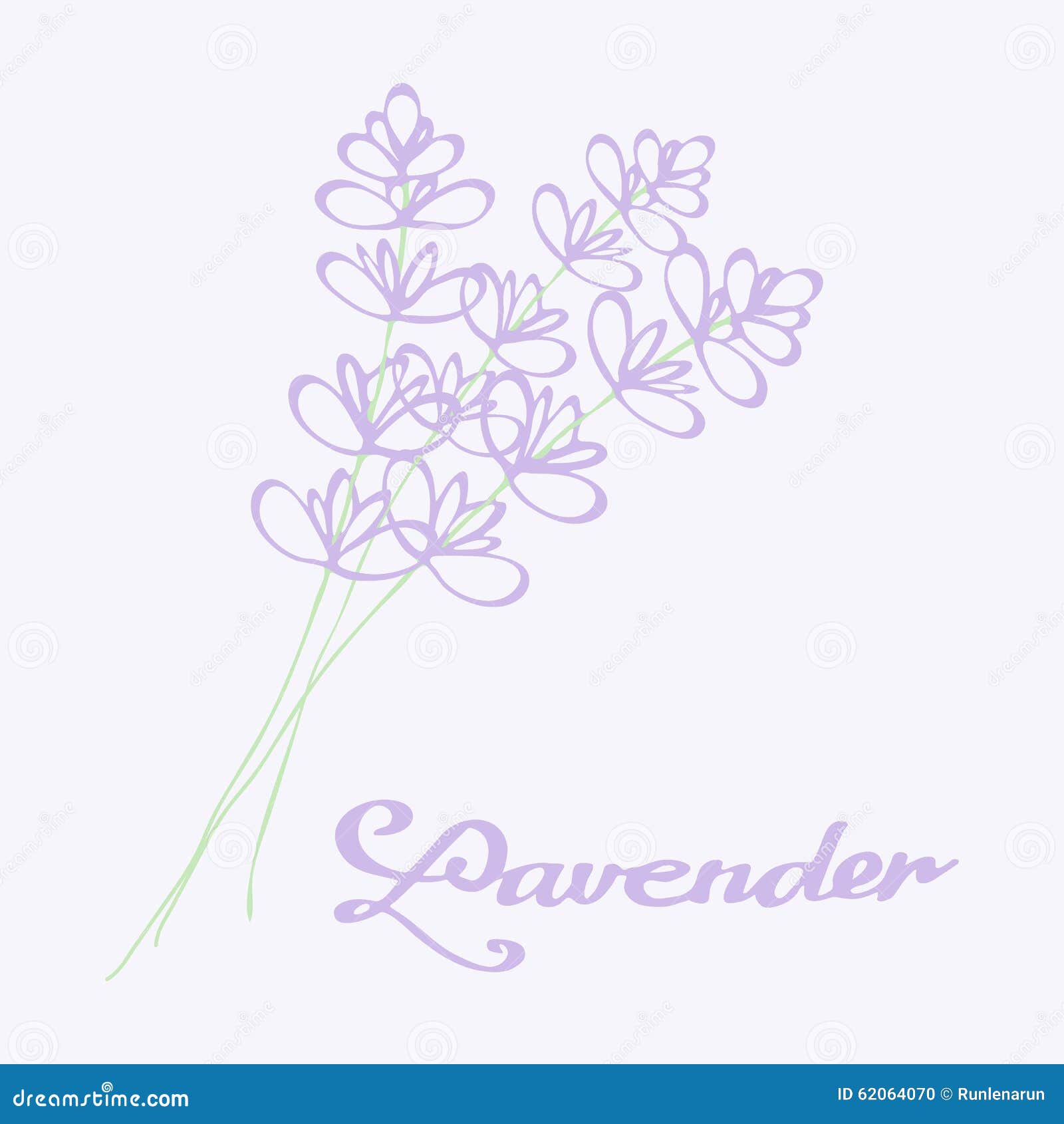 Lavender Bouquet. Hand Drawn Flowers. Doodle Stock Vector ...
