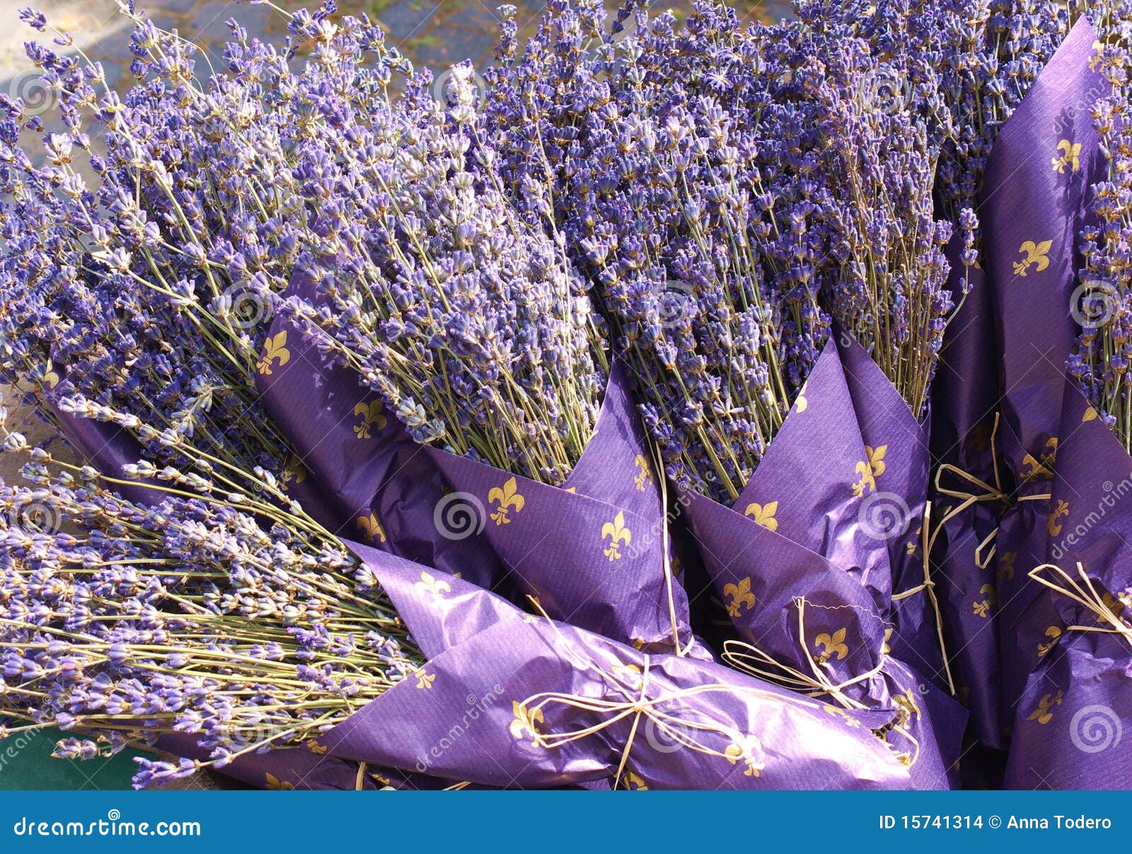 Lavender bouquets stock photo. Image of smell, bunch - 15741314