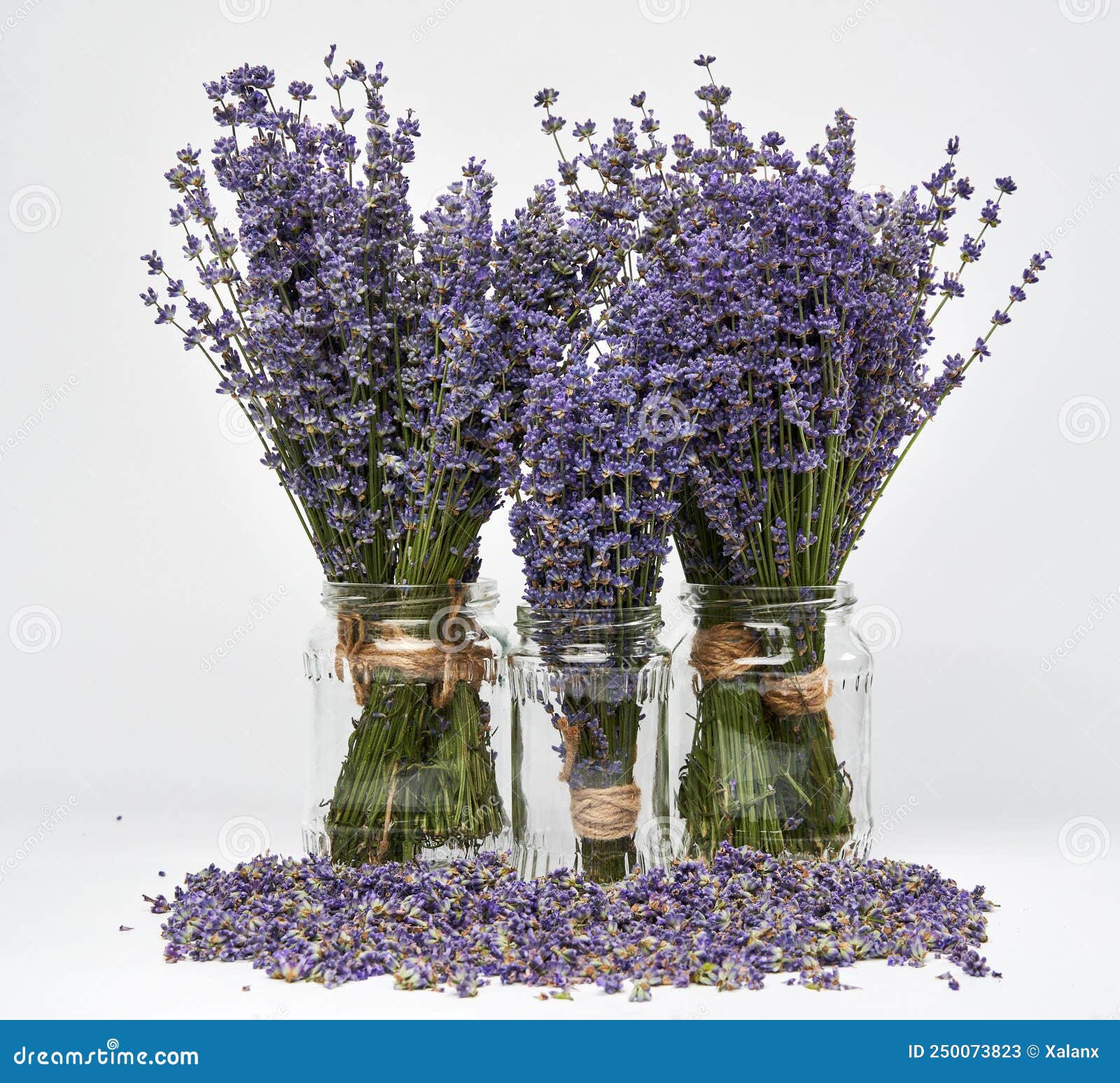 Lavender bouquets in jars stock image. Image of medicinal - 250073823
