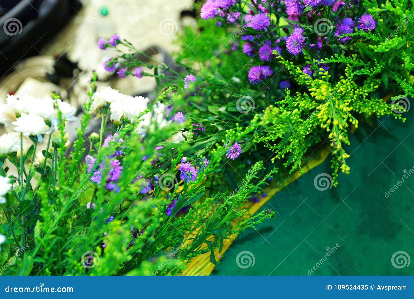 Lavender Bushes with Stage Decoration Stock Image - Image of color ...