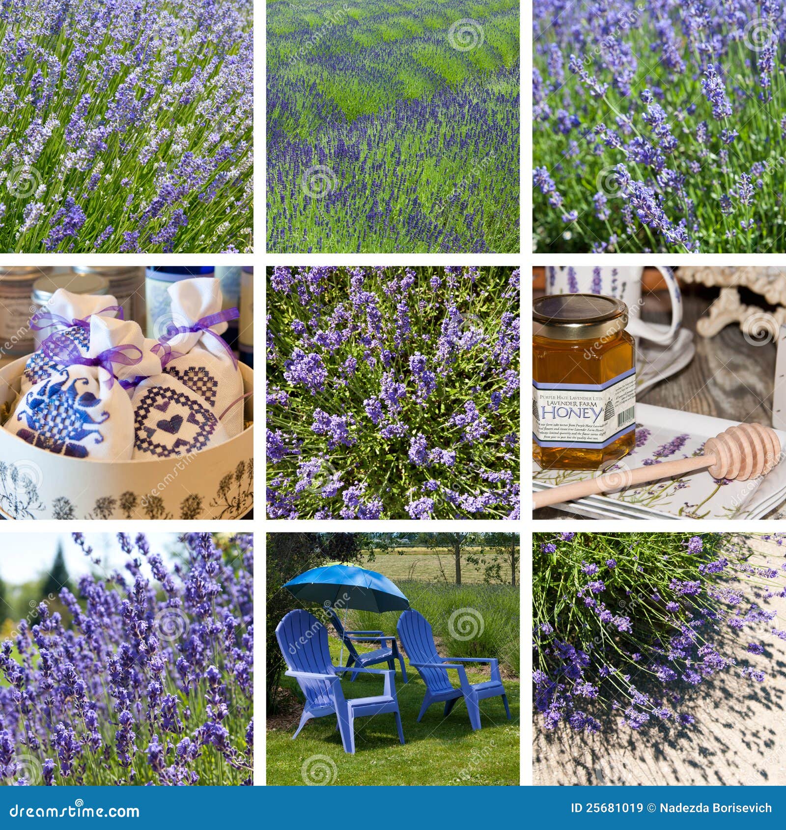 Lavender collage stock image. Image of farmland, lilac - 25681019