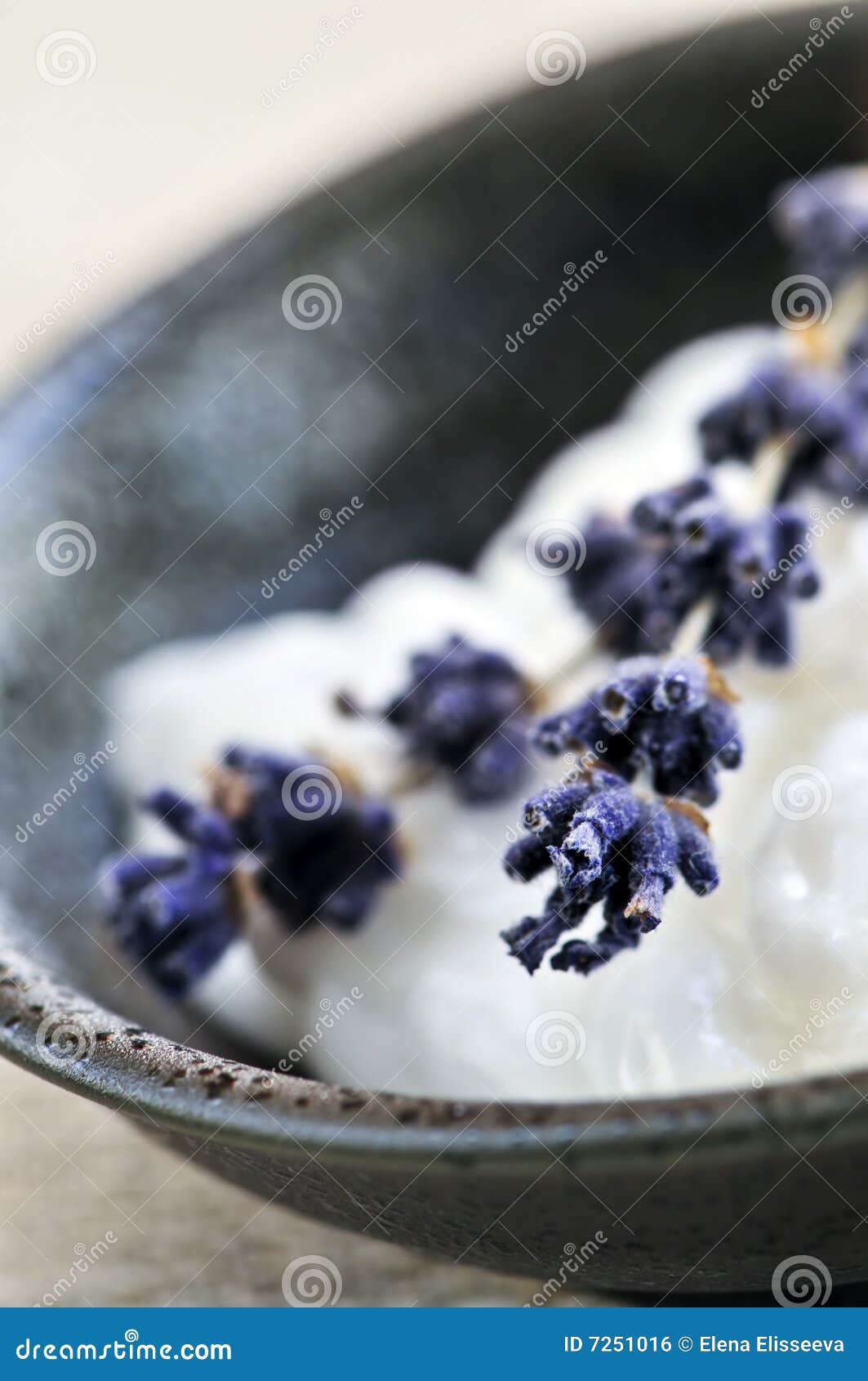 Lavender cream stock photo. Image of natural, moisturizer - 7251016