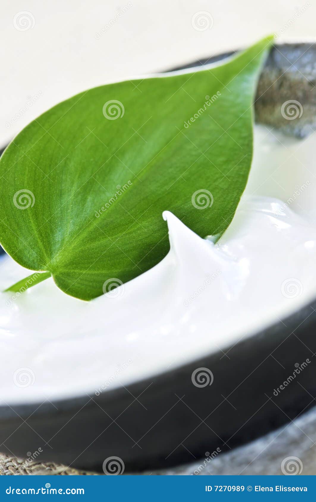 Lavender cream stock image. Image of close, cosmetic, closeup - 7270989