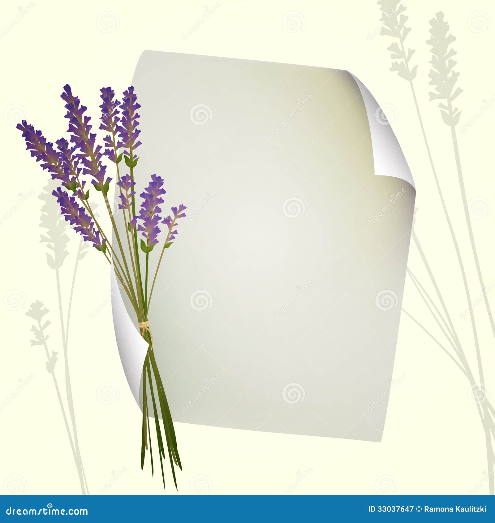 Lavender design stock illustration. Illustration of natural - 33037647