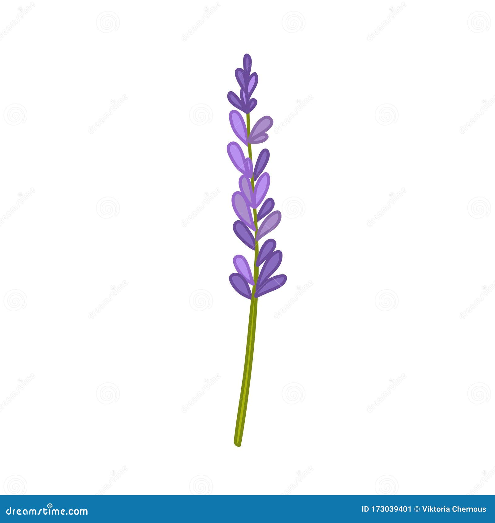 Lavender Doodle Icon, Vector Illustration Stock Illustration ...