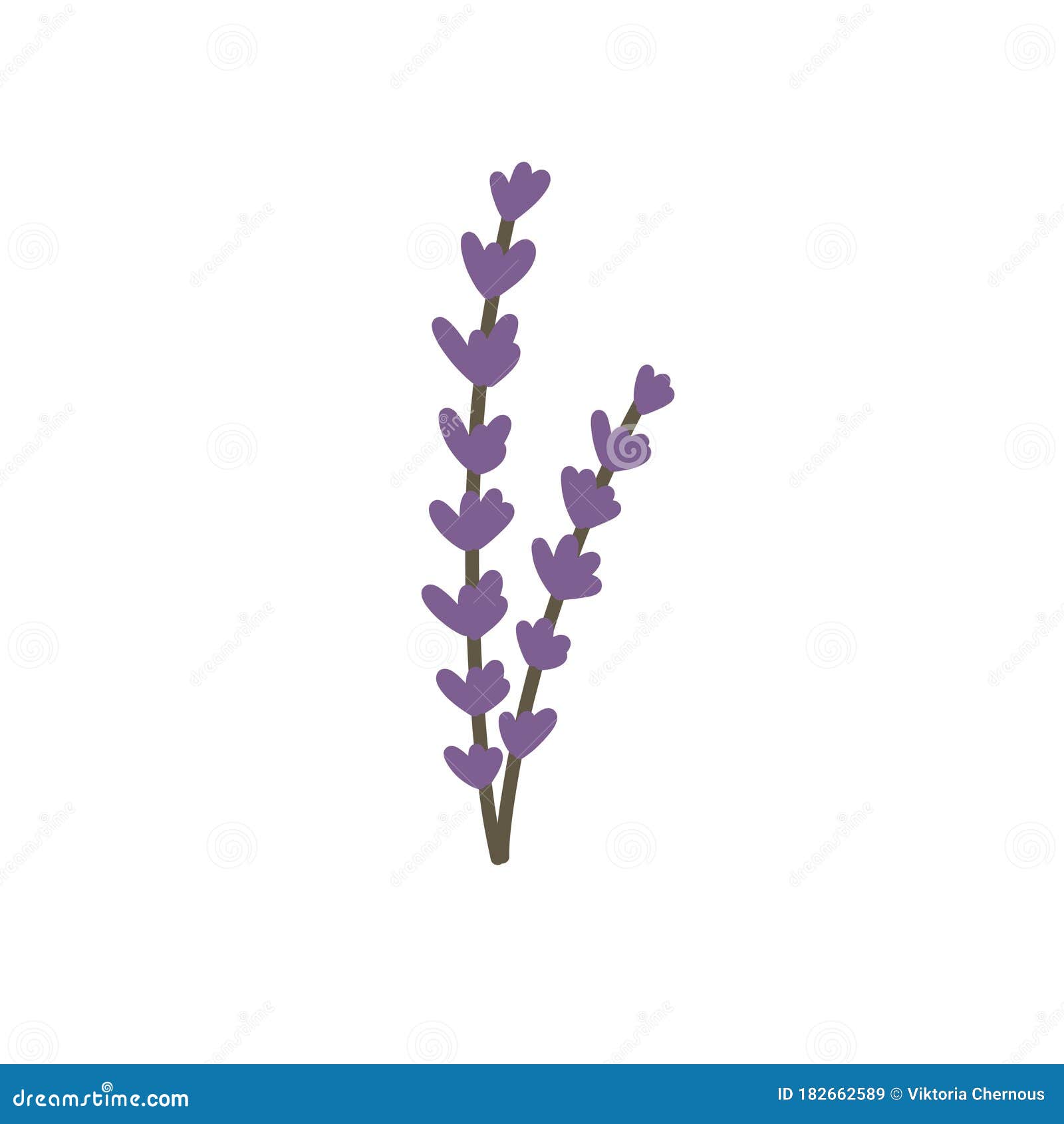 Lavender Vector Drawing Frame. Wild Flower And Leaves. | CartoonDealer ...