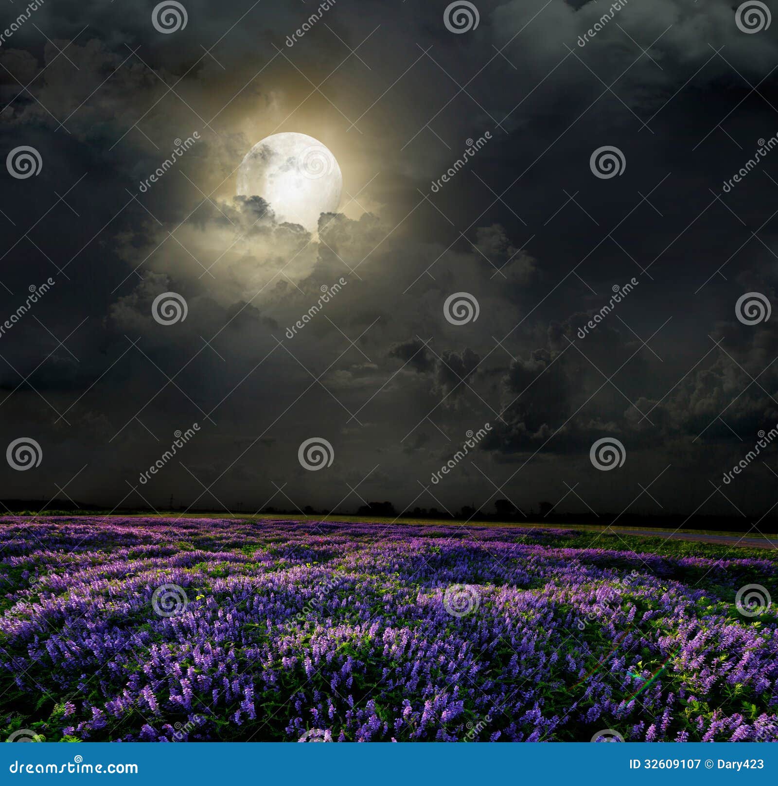 Lavender Field in the Moonlight Stock Image - Image of flare ...