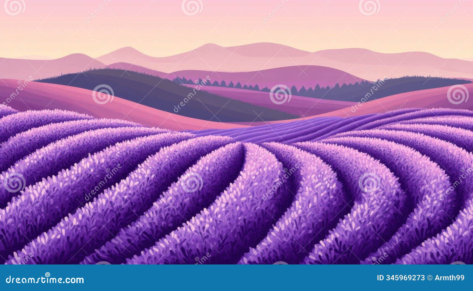 Lavender Field at Sunset. Vector Illustration of Lavender Field Stock ...