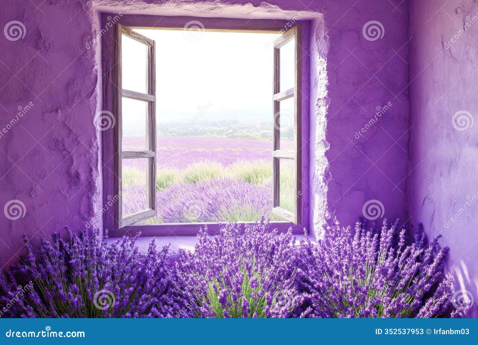 Lavender Field View through a Window Stock Image - Image of nature ...