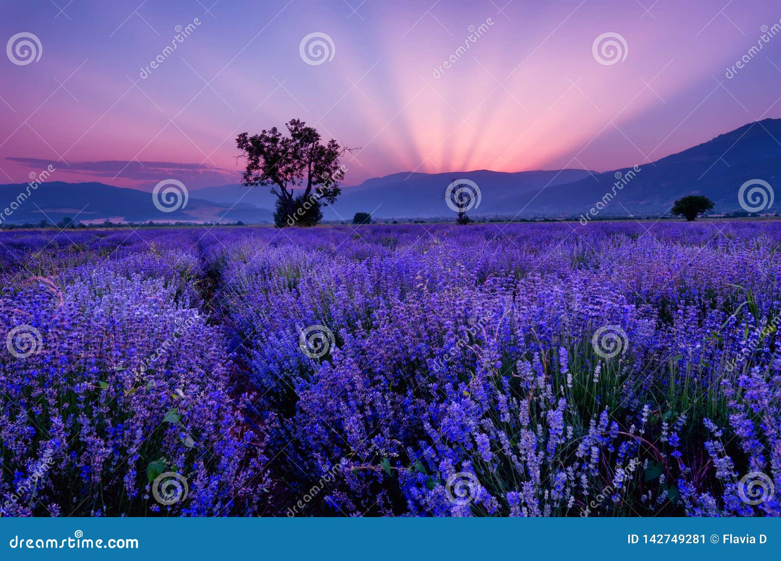 Beautiful Image Of Natural Cascading Waterfall Royalty-Free Stock Photo ...