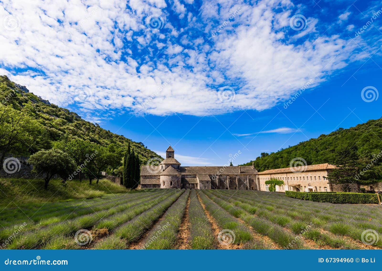 Lavender Fields, Provence, France Stock Photo - Image of lavender ...