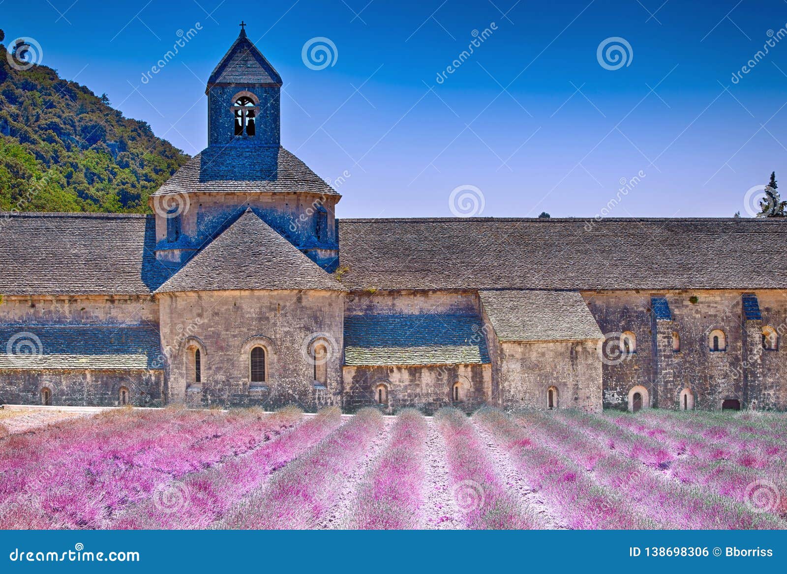 Lavender Fields at Senanque Monastery Stock Photo - Image of church ...