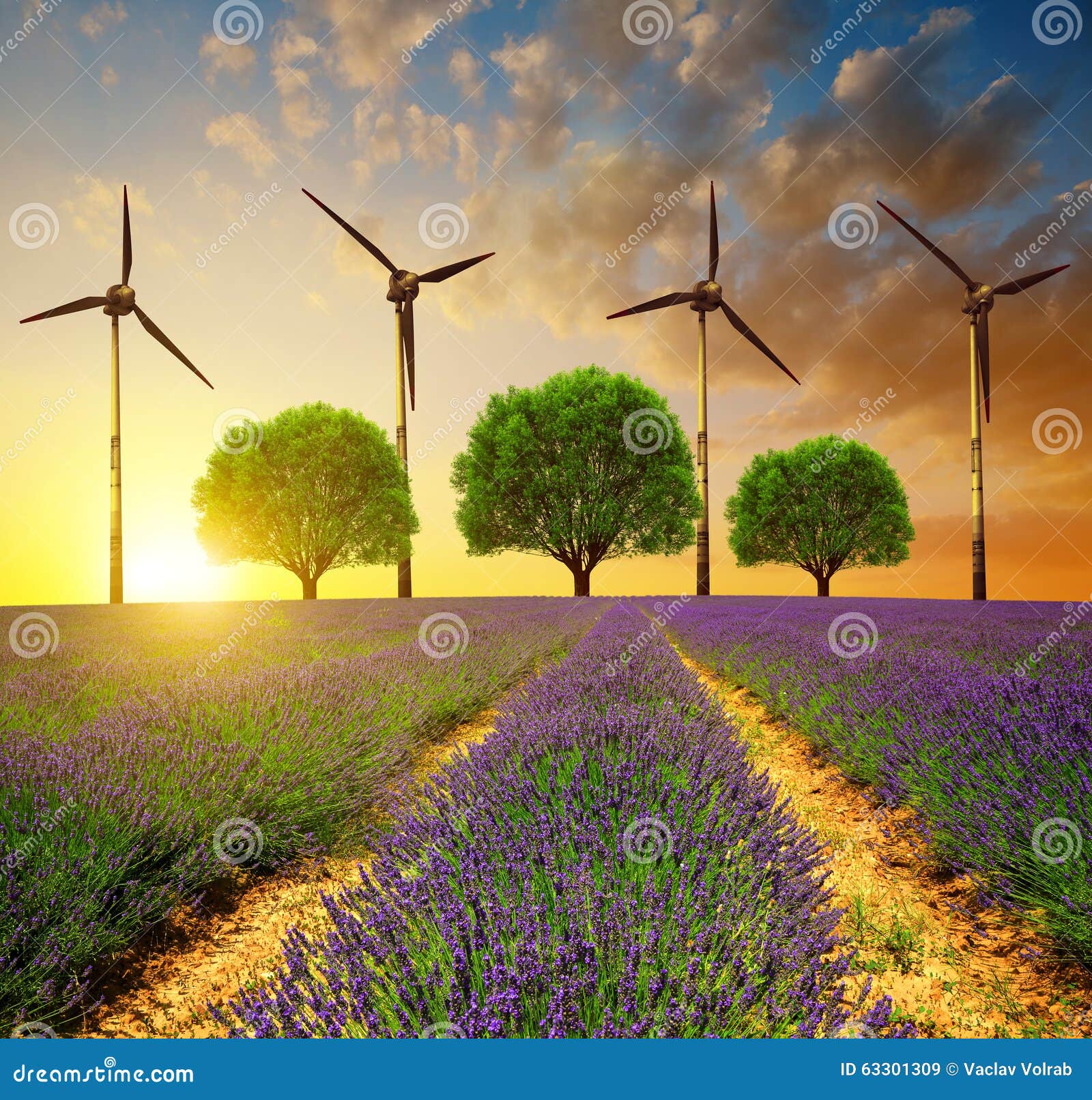 Lavender Fields with Trees and Wind Turbines Stock Image - Image of ...