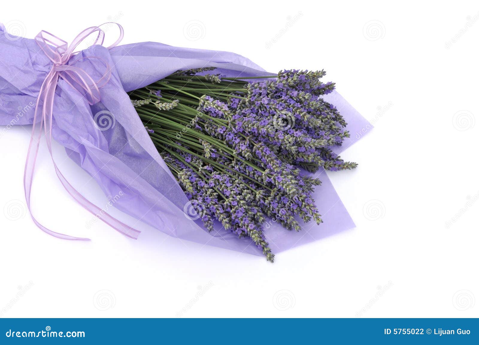 Lavender Flower Branch Bundle Dried White Wood Texture Backdrop Royalty ...