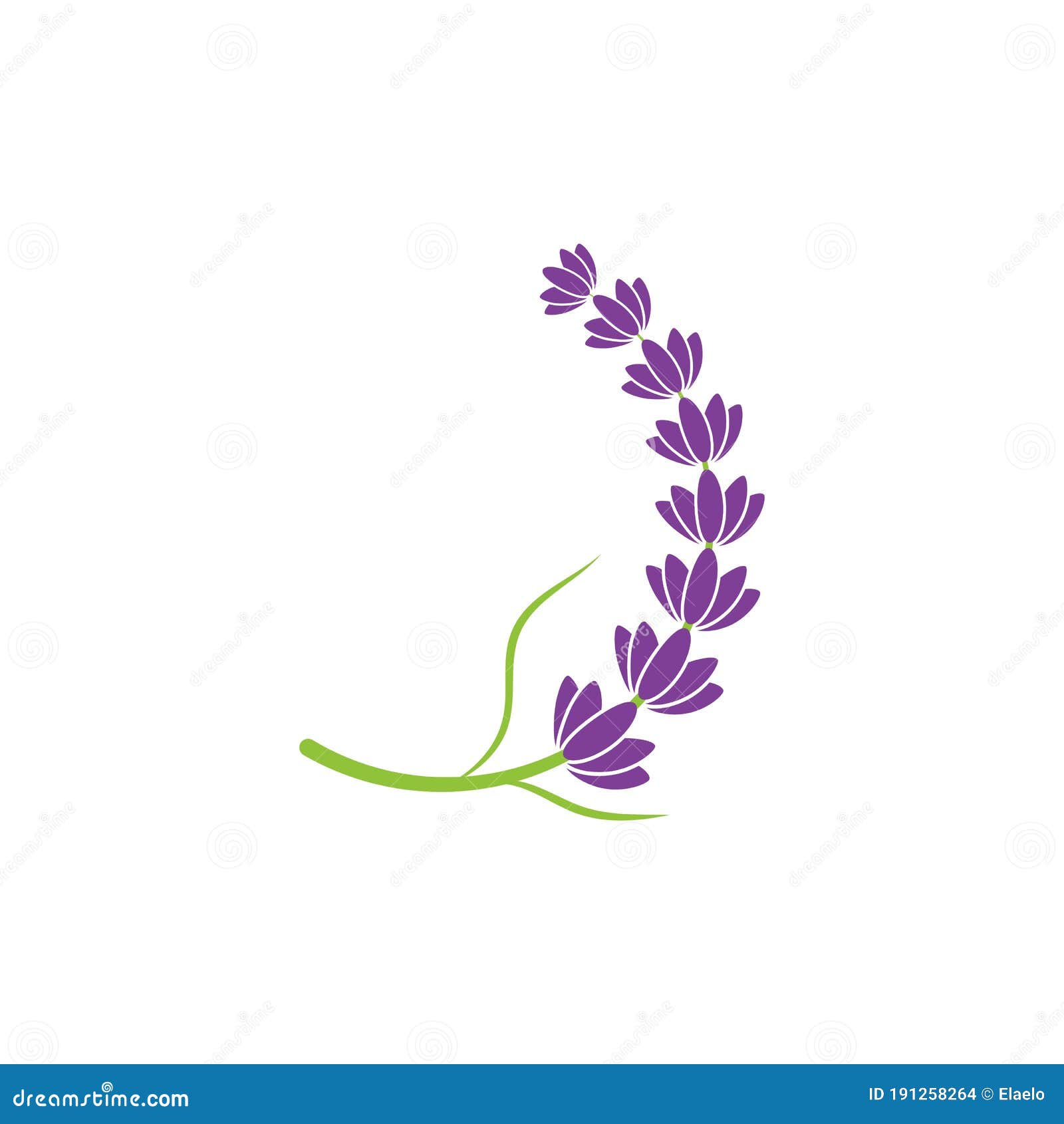 Lavender Icon Royalty-Free Stock Photo | CartoonDealer.com #381151323