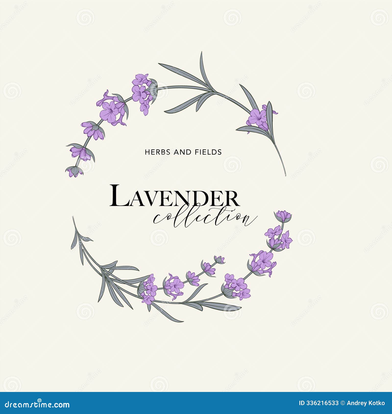 Lavender Flower Vector Logo. Floral Design Label Stock Illustration ...