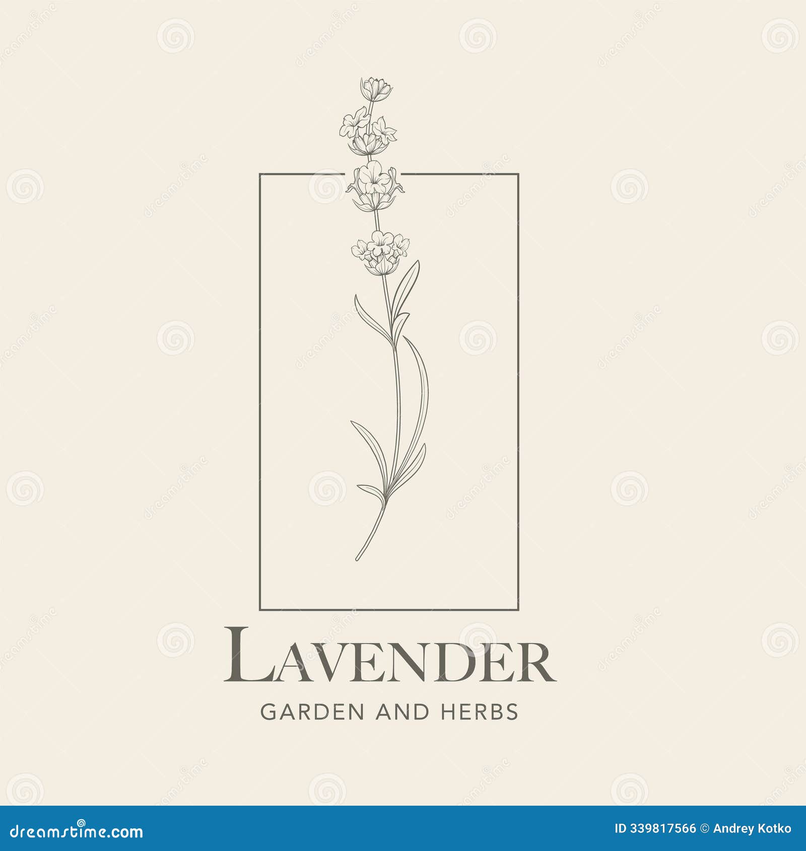 Lavender Flower Vector Logo. Floral Design Label Stock Illustration ...