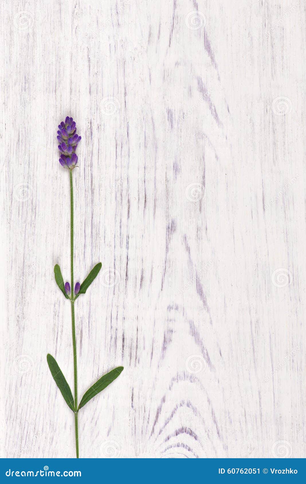 3,112 Lavender Flower White Wood Table Background Stock Photos - Free ...