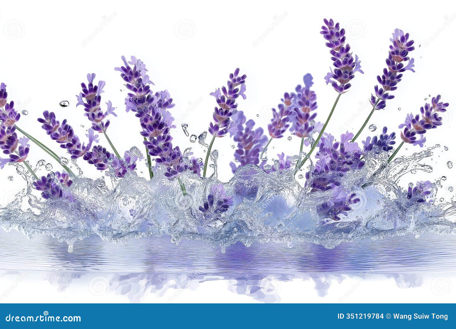 Lavender Flowers Creating a Big Splash of Water Stock Illustration ...
