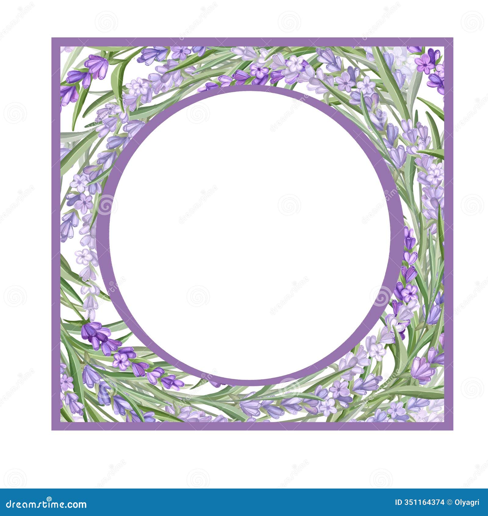 Lavender Flowers Geometry Frame, Hand Drawn Illustration for Card or Invitations Stock Photo ...