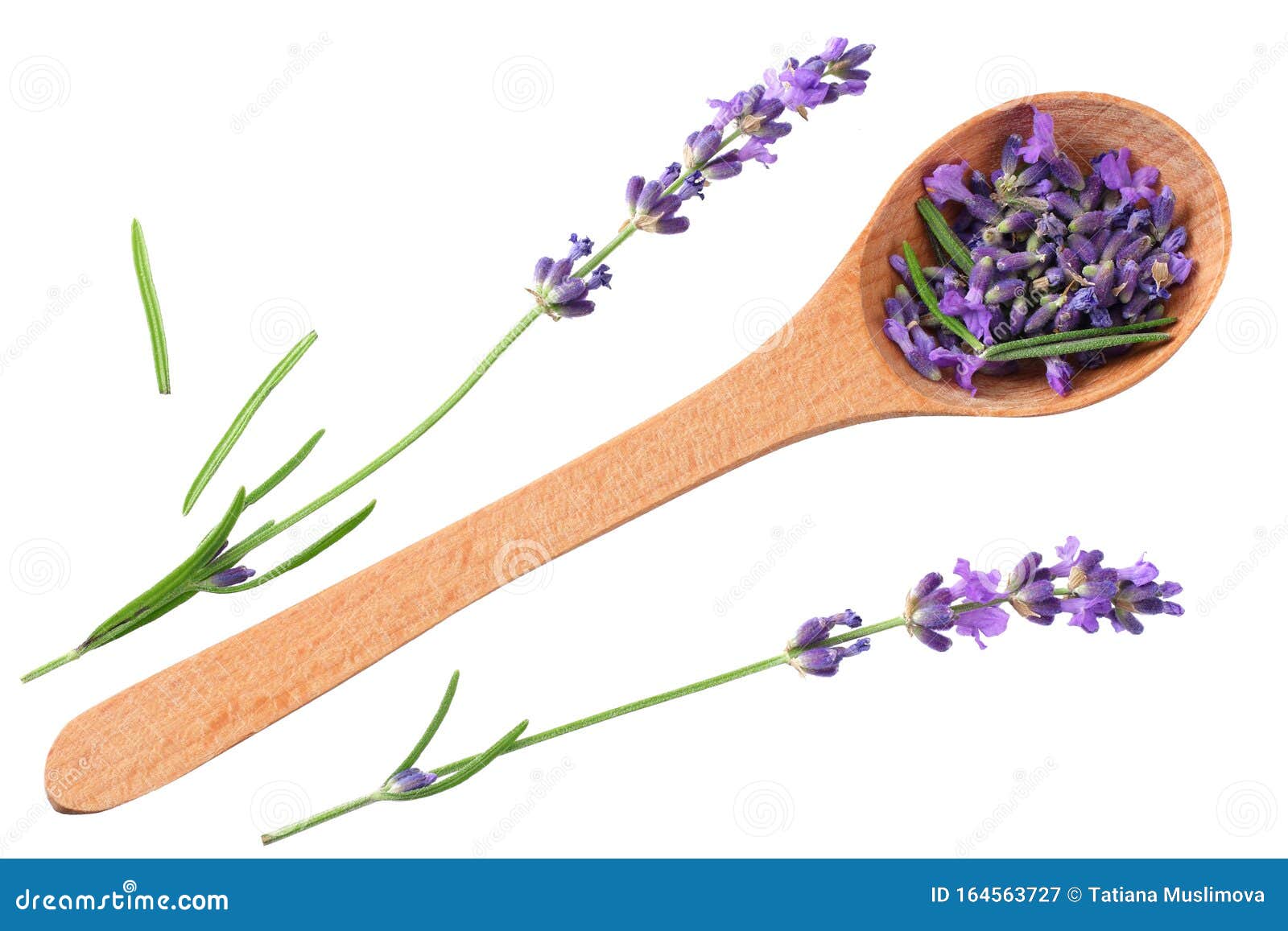 Lavender Flowers Isolated on White Background. Top View Stock Image ...