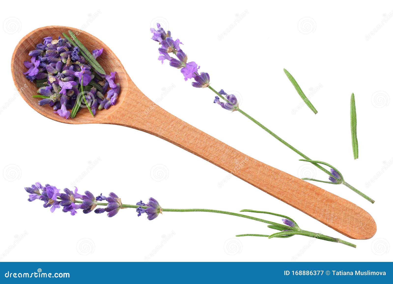 Lavender Flowers Isolated on White Background. Top View Stock Image ...