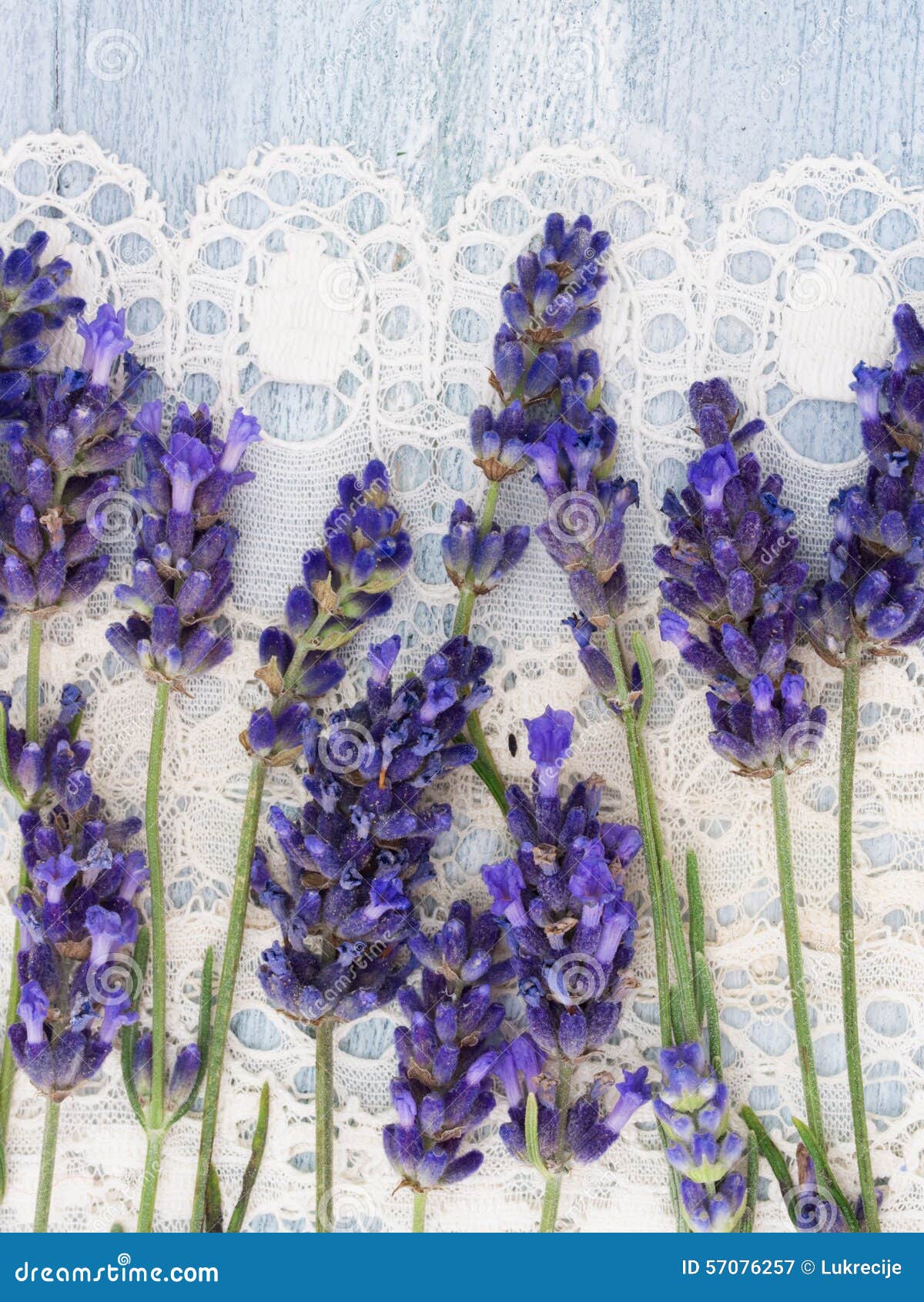Lavender flowers stock image. Image of horizontal, health - 57076257