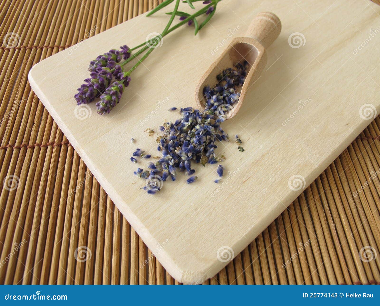 Lavender Flowers, Lavandulae Flos Stock Image - Image of drugs ...